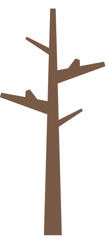 Brown tree trunk icon. Free download transparent .PNG | Creazilla
