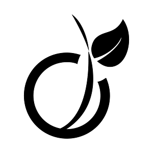 Viadeo icon. Free download transparent .PNG | Creazilla