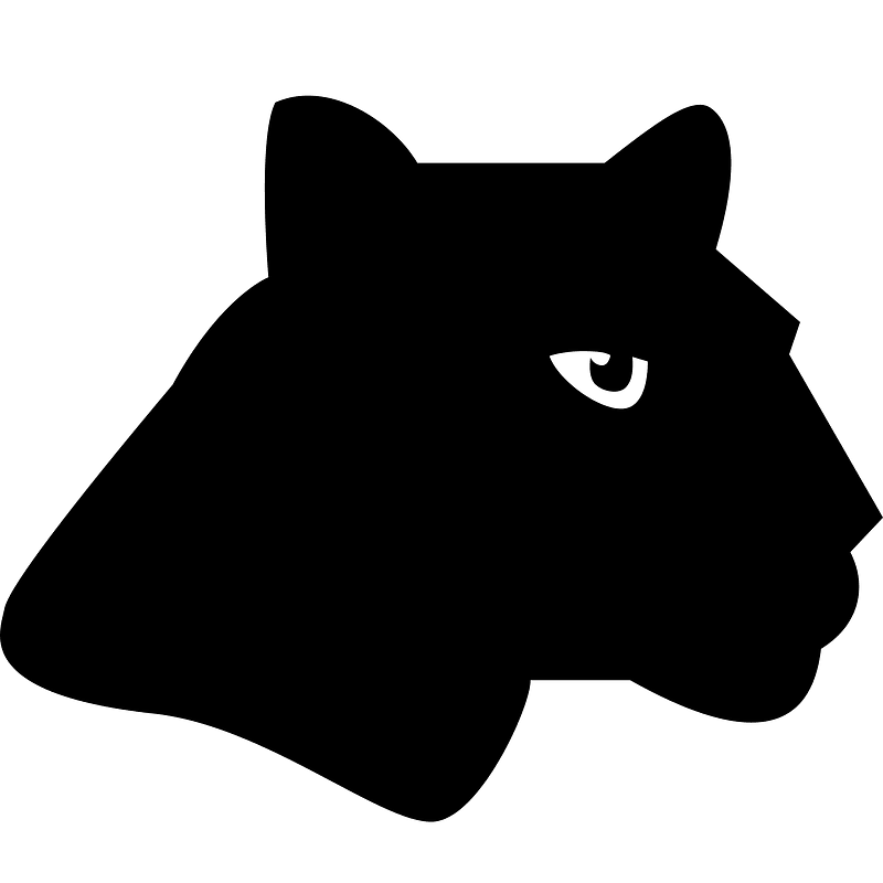 AMPL - Free vector icons on creazilla.com