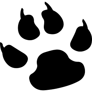 Pascal icon. Free download transparent .PNG | Creazilla