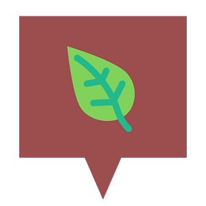 Leaf icon. Free download transparent .PNG | Creazilla