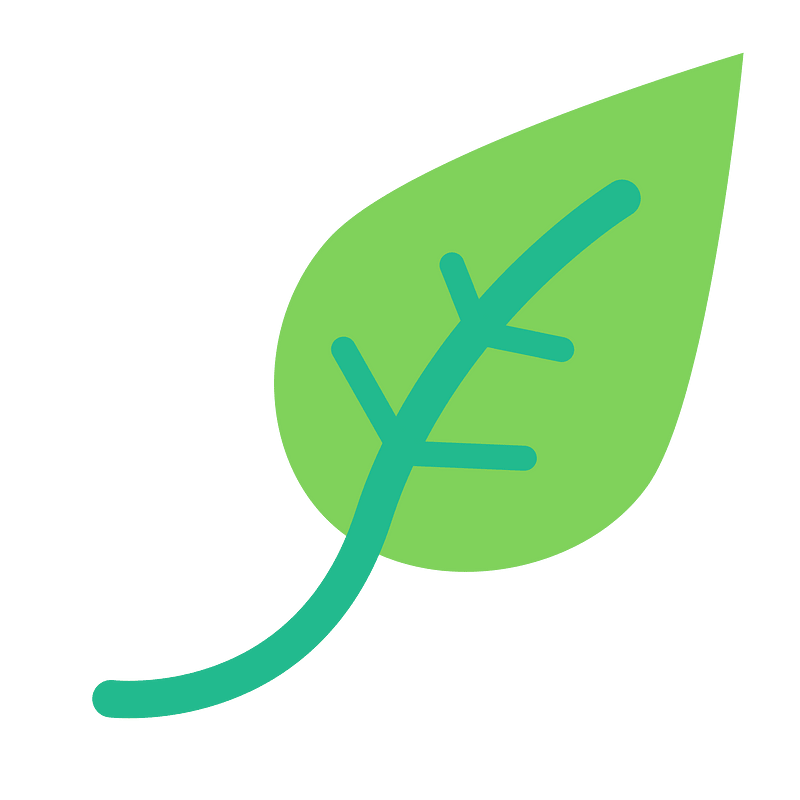 Leaf icon. Free download transparent .PNG | Creazilla
