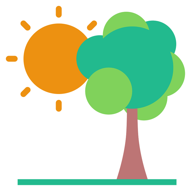 Tree sun icon. Free download transparent .PNG | Creazilla