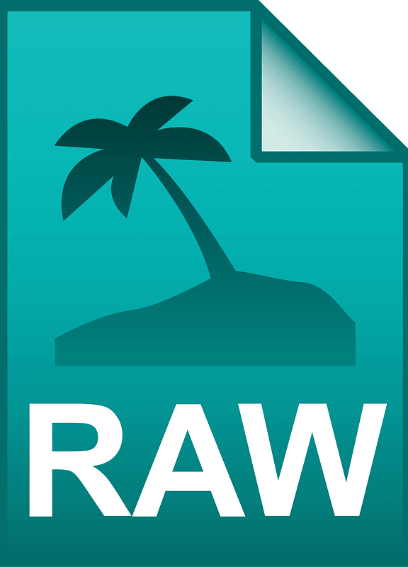 Raw icon. Free download transparent .PNG | Creazilla