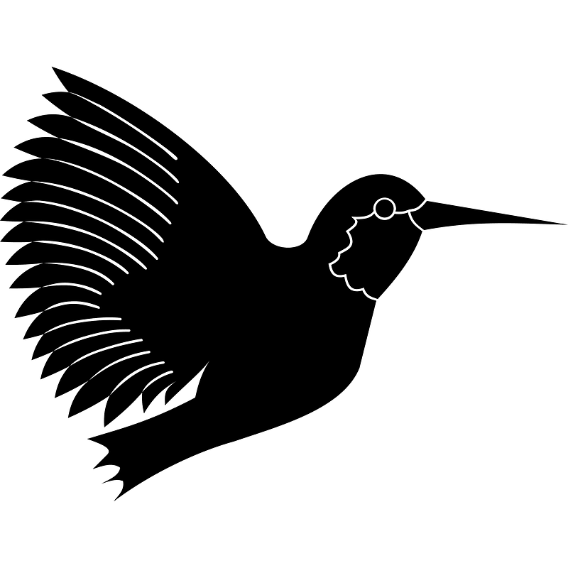 Latex icon. Free download transparent .PNG | Creazilla