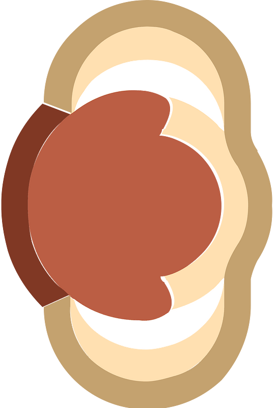 Multi color person icon. Free download transparent .PNG | Creazilla