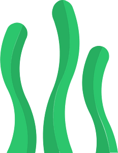 Blue seagrass icon. Free download transparent .PNG | Creazilla