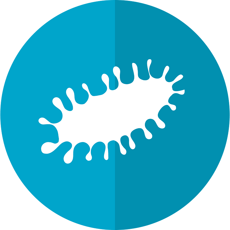 Virus icon. Free download transparent .PNG | Creazilla