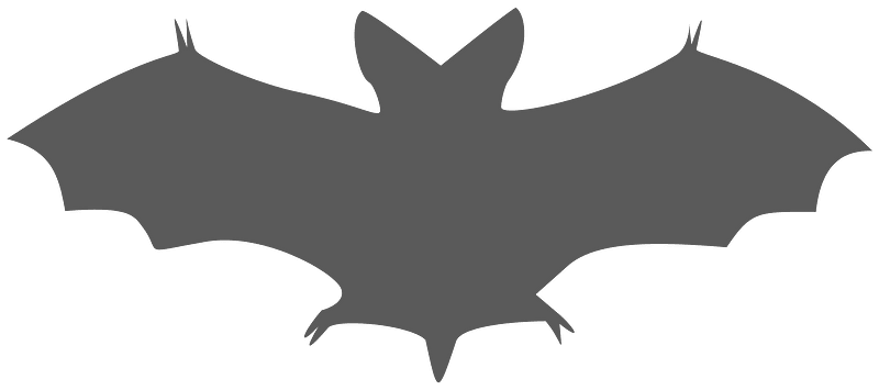 Bat shadow icon. Free download transparent .PNG | Creazilla