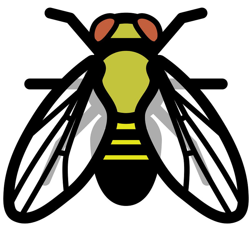 Icon - Drosophila melanogaster icon. Free download transparent .PNG ...
