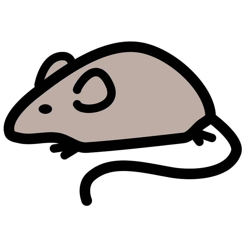 Icon - Mus musculus icon. Free download transparent .PNG | Creazilla