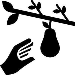 Low Hanging Fruit - The Noun Project icon. Free download transparent ...