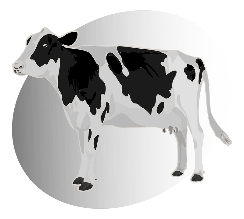 P cow grey - Free vector icons on creazilla.com