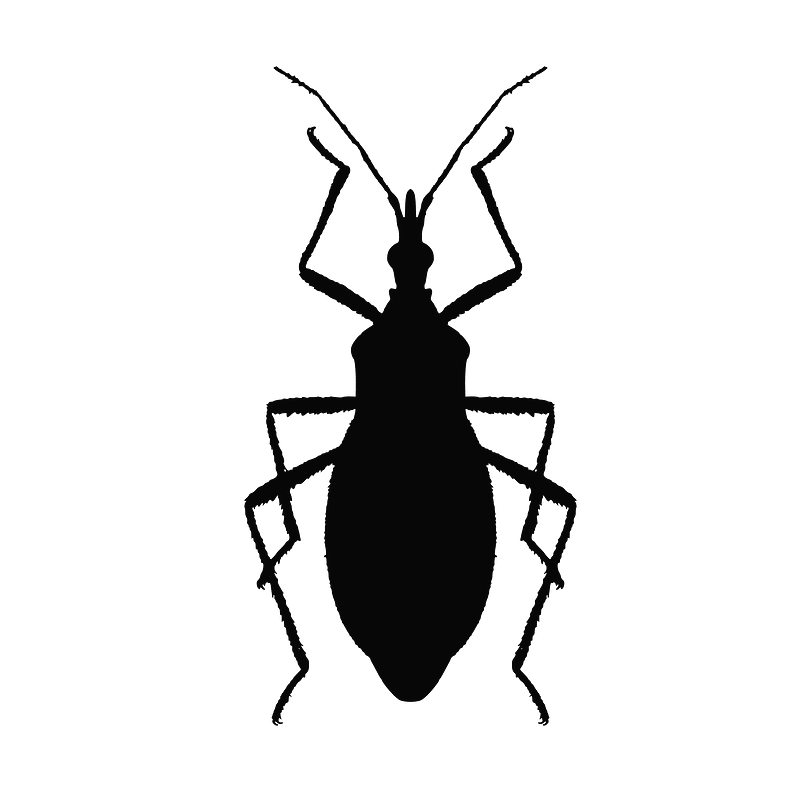 Triatomine icon icon. Free download transparent .PNG | Creazilla