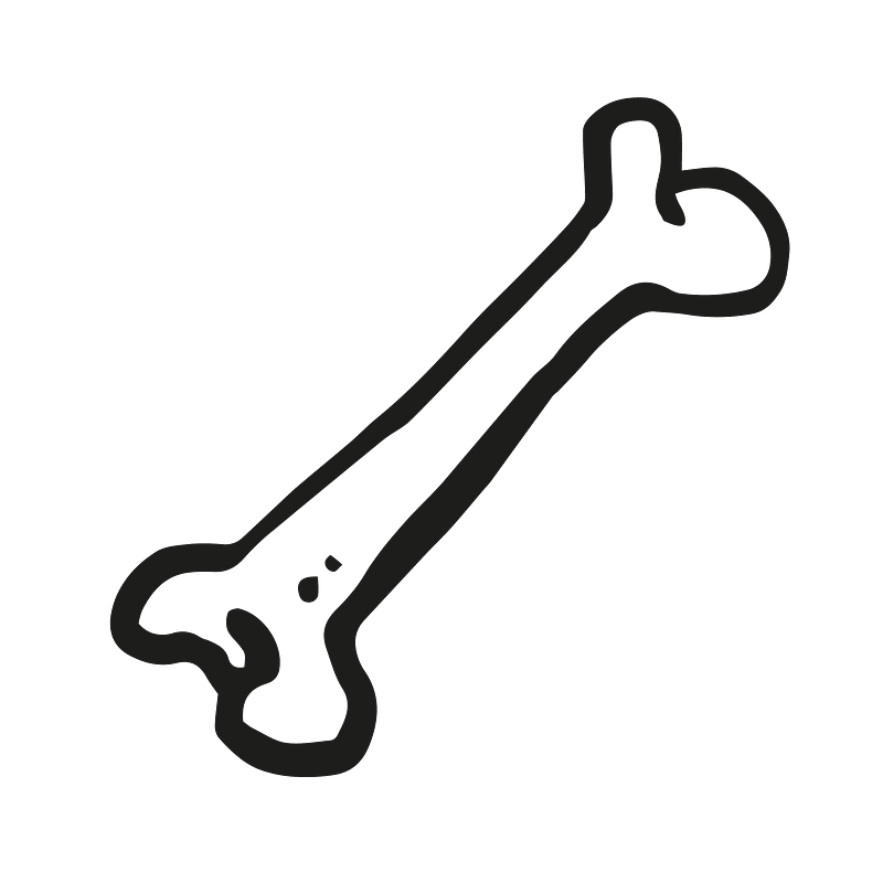 Bone icon. Free download transparent .PNG | Creazilla