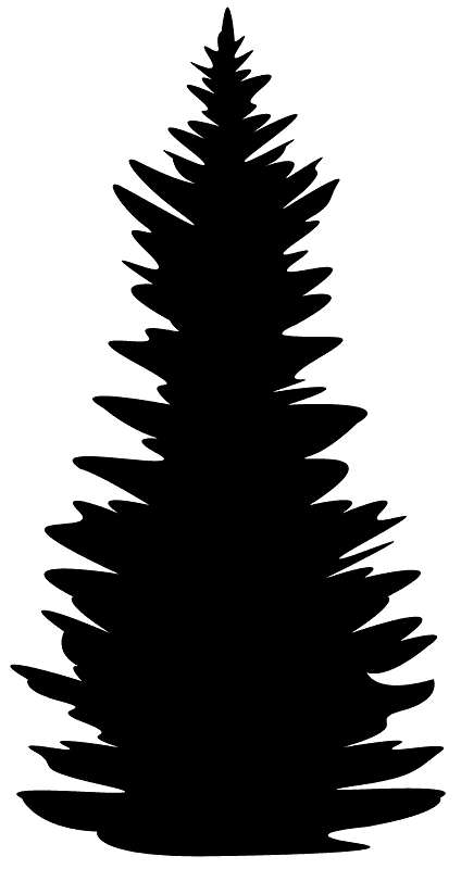 Sitka Spruce - Free vector silhouettes on creazilla.com