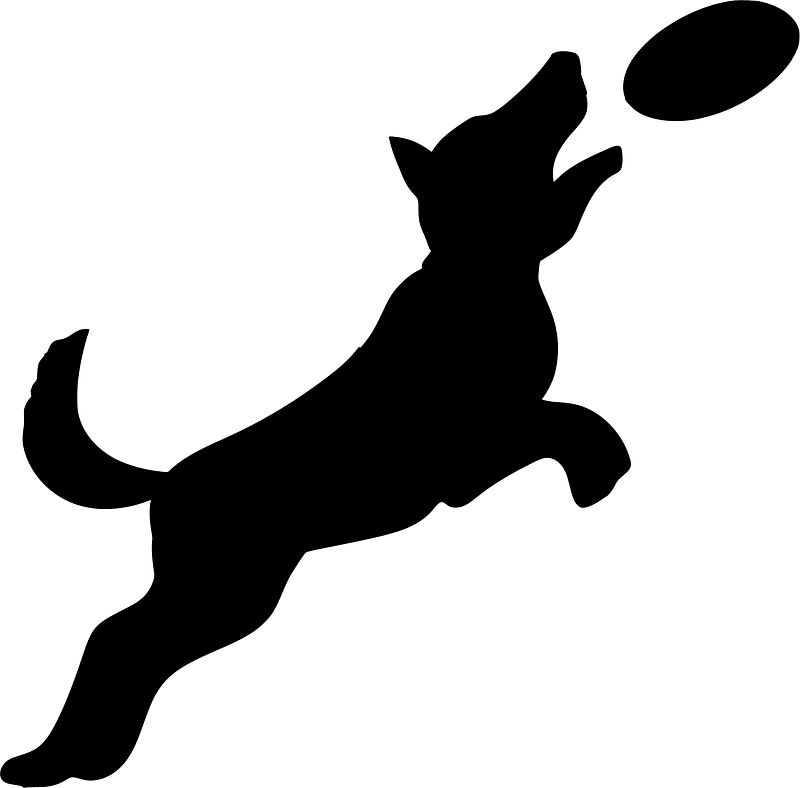 Dog Catches Frisbee - Free vector silhouettes on creazilla.com