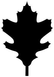 Red oak leaf - Free vector silhouettes on creazilla.com