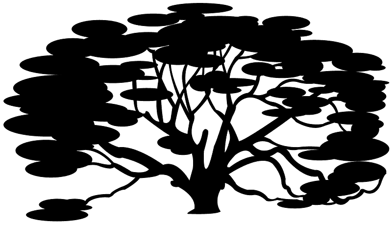 Live Oak - Free vector silhouettes on creazilla.com