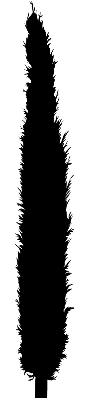 Cypress Tree Silhouette Clip Art