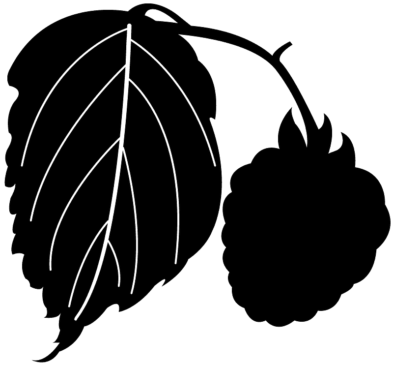 Raspberry - Free vector silhouettes on creazilla.com