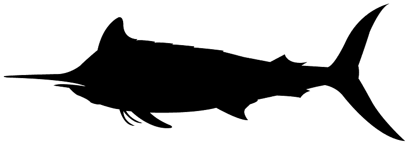 Marlin - Free vector silhouettes on creazilla.com