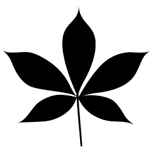 Ohio buckeye leaf - Free vector silhouettes on creazilla.com