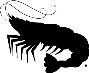 Shrimp - Free vector silhouettes on creazilla.com