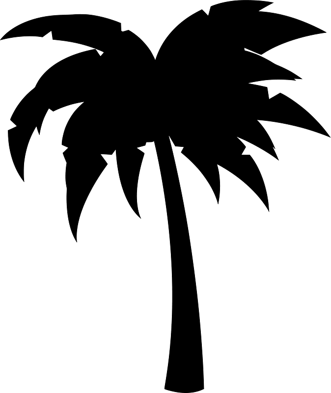 Palm tree - Free vector silhouettes on creazilla.com