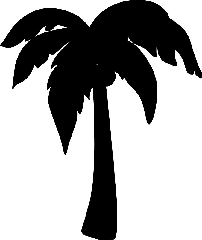 Palm tree - Free vector silhouettes on creazilla.com