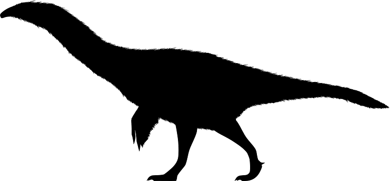 Segnosaurus - Free vector silhouettes on creazilla.com