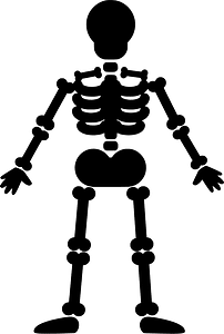 Skeleton - Free vector silhouettes on creazilla.com