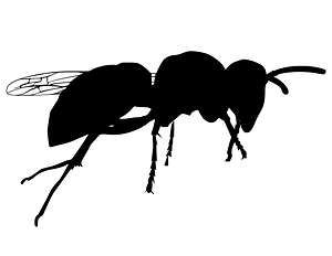 Bee - Free vector silhouettes on creazilla.com