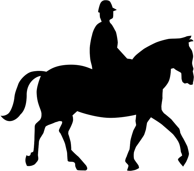 Horse Riding - Free vector silhouettes on creazilla.com