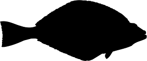 Halibut - Free vector silhouettes on creazilla.com