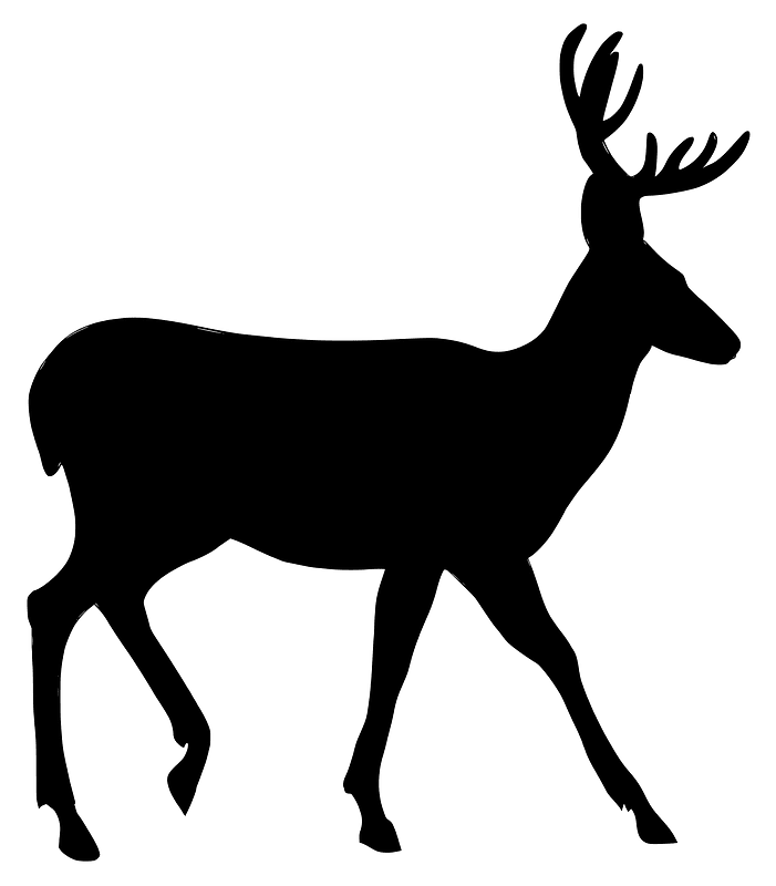 Mule deer - Free vector silhouettes on creazilla.com