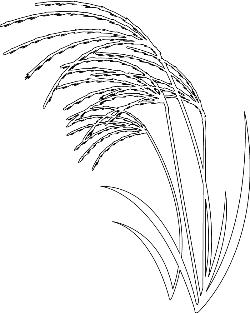 Japanese Grass Drawing