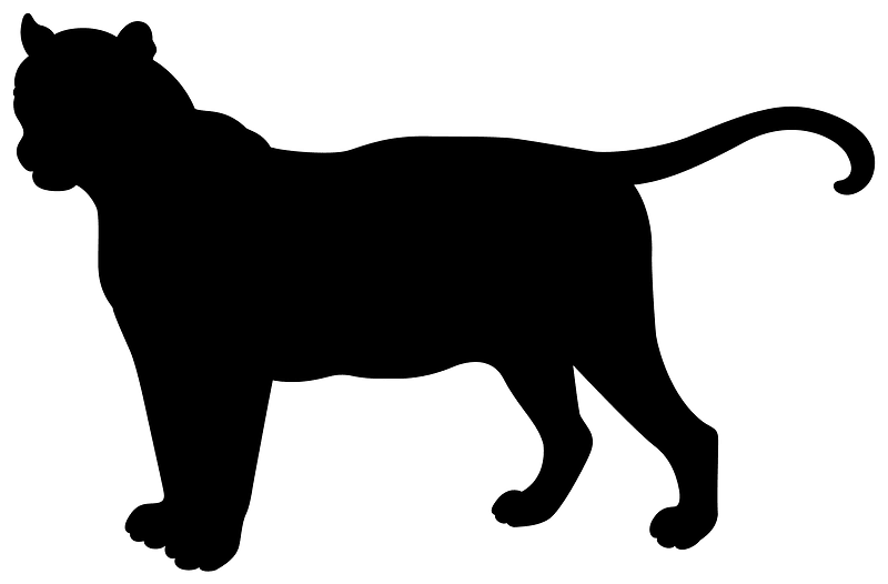 Tiger - Free vector silhouettes on creazilla.com