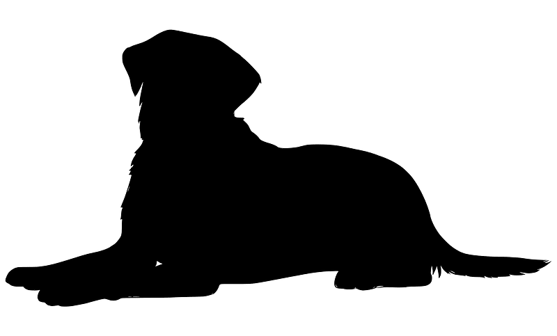 Labrador Retriever - Free vector silhouettes on creazilla.com