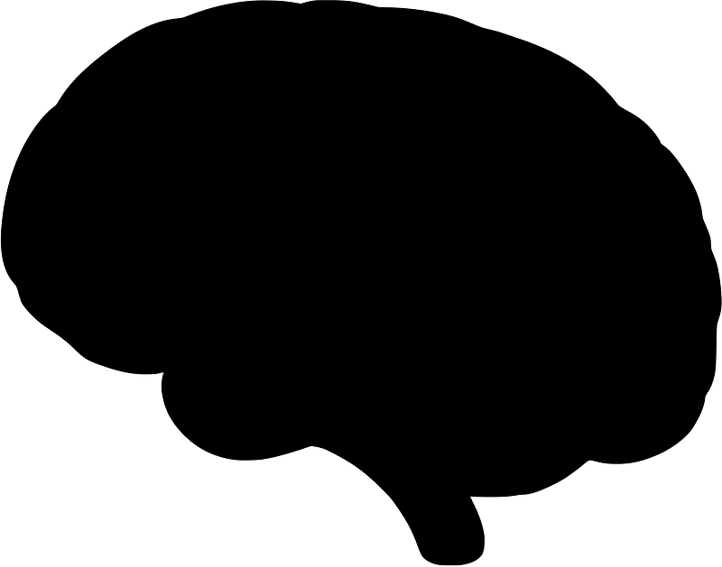 Brain - Free vector silhouettes on creazilla.com