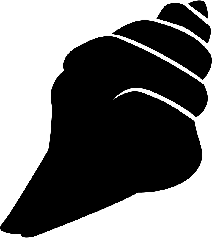 Seashell - Free vector silhouettes on creazilla.com