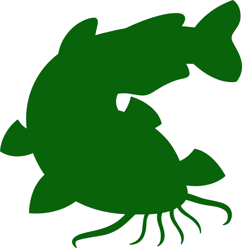 Catfish Silhouette