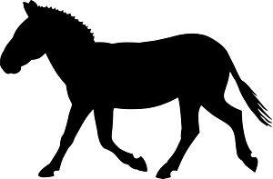 Zebra - Free vector silhouettes on creazilla.com