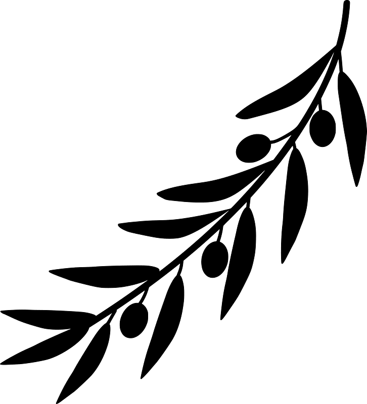 Olive branch - Free vector silhouettes on creazilla.com