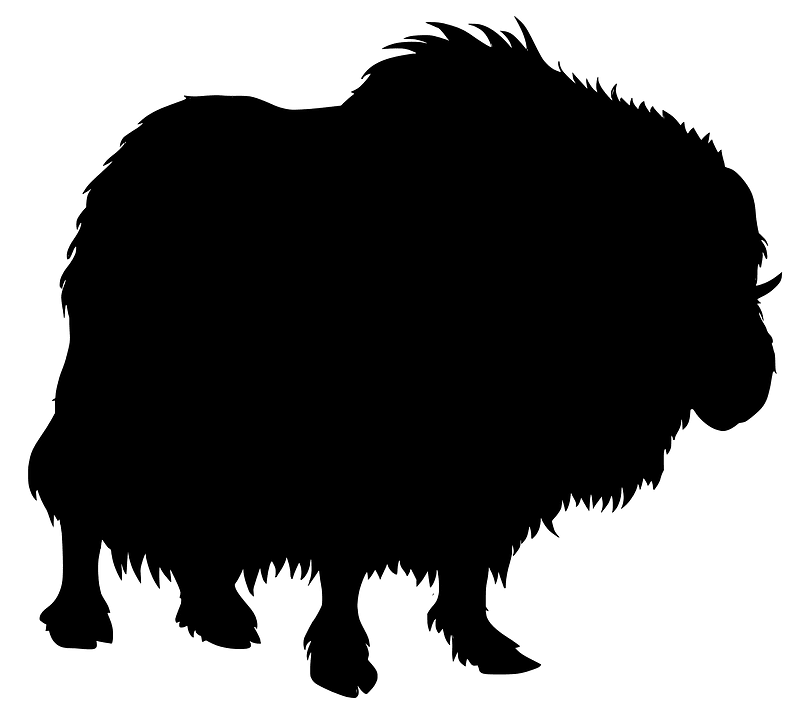 Musk Ox - Free vector silhouettes on creazilla.com
