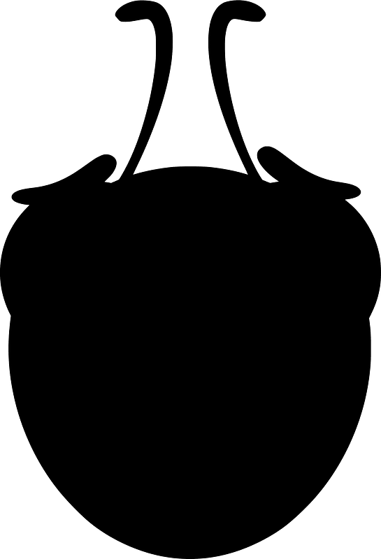 Cricket face - Free vector silhouettes on creazilla.com