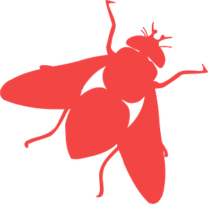 Fly silhouette - Free Vector Silhouettes | Creazilla