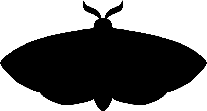 Moth - Free vector silhouettes on creazilla.com