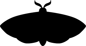 Moth - Free vector silhouettes on creazilla.com