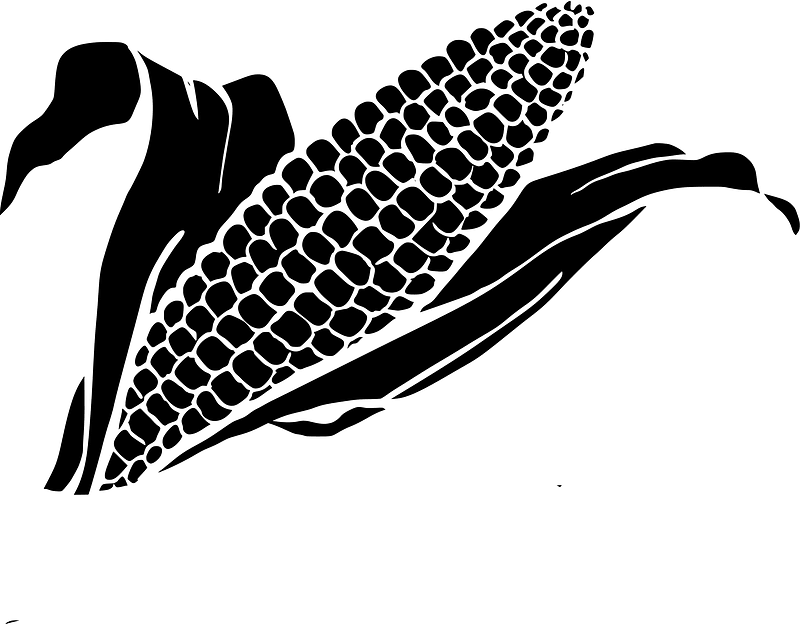 Corn - Free vector silhouettes on creazilla.com